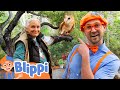 Blippi S Animal Friends Discovering An Owl And A Deer Blippi Watch HD ...
