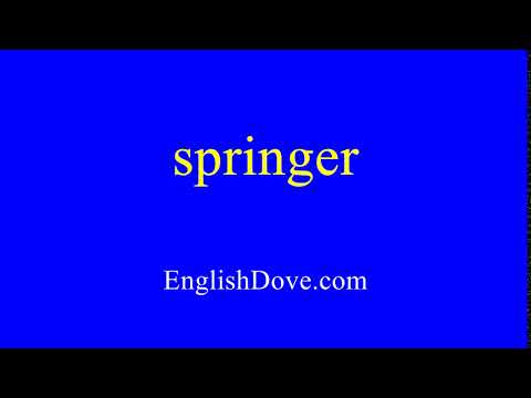 How to pronounce springer in American English.