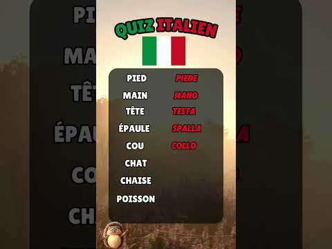 Un quiz 100 % italien pour revoir les parties du corps et quelques animaux 🐾🧠