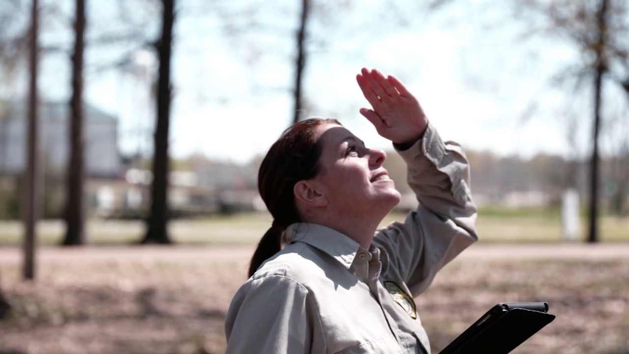 Hazardous Tree Assessments for Cities - MFC Urban Forestry Program