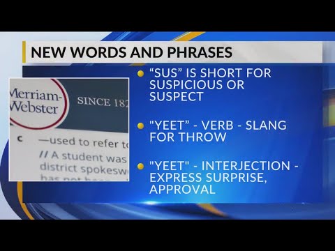 New words added to the dictionary