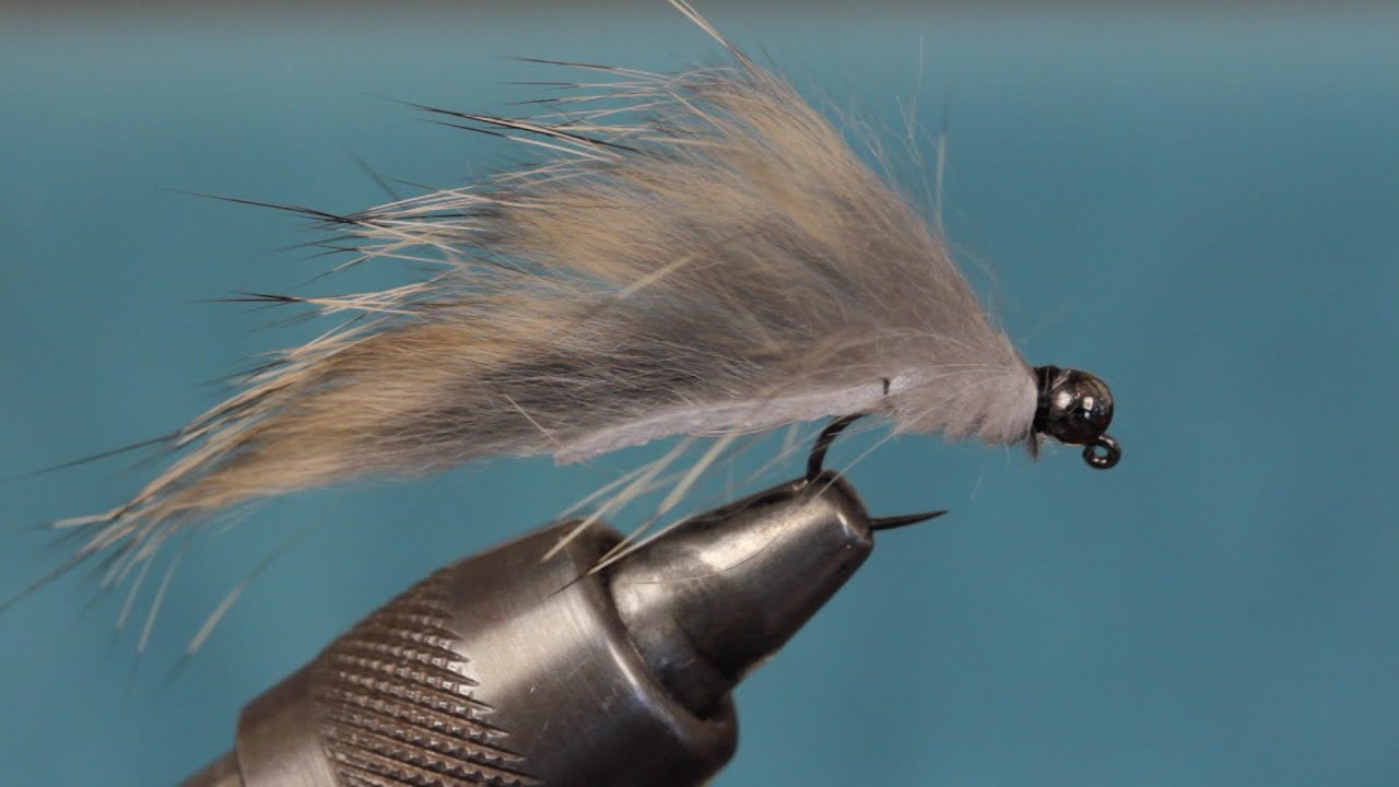 Swimming Crane Fly Larva