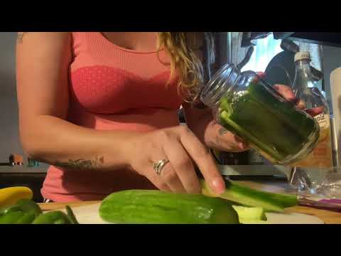 10 Minute Pickle Kit 🥒 Dill-icious 🥒Pearl &Jhonny 🥒Review