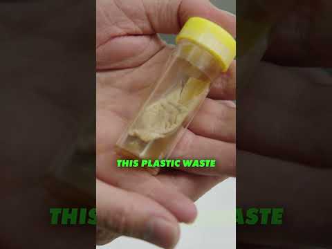 The Mould That Can 'Eat' Plastic