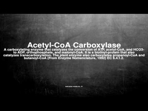 Medical vocabulary: What does Acetyl-CoA Carboxylase mean