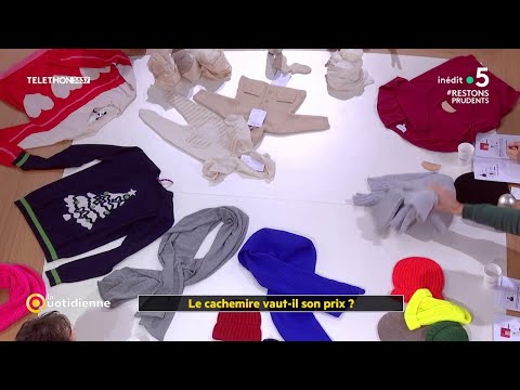 Le cachemire : toujours une matière d'exception ? - La Quotidienne
