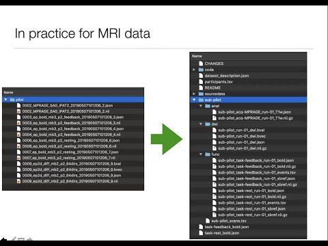 BrainsCAN Computational Core Methods Lunch: Brain Image Database System (BIDS)