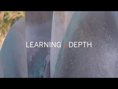 Learning in Depth