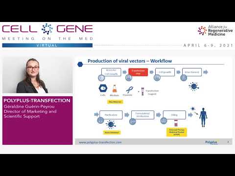 Polyplus transfection