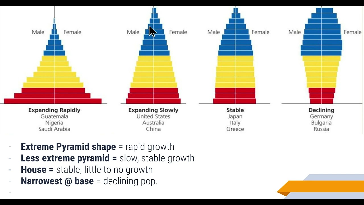 Age Structure Diagrams 3.6