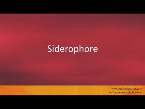 Pronunciation of the word(s) "Siderophore".