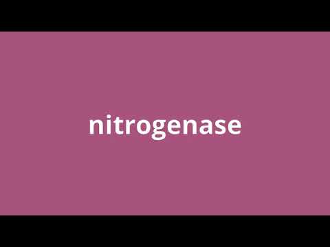 what is the meaning of nitrogenase