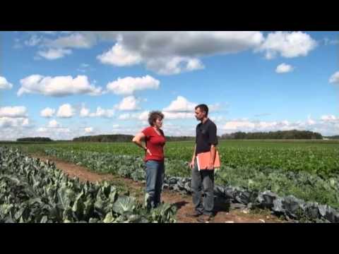Day in the Life - Soil Conservationist