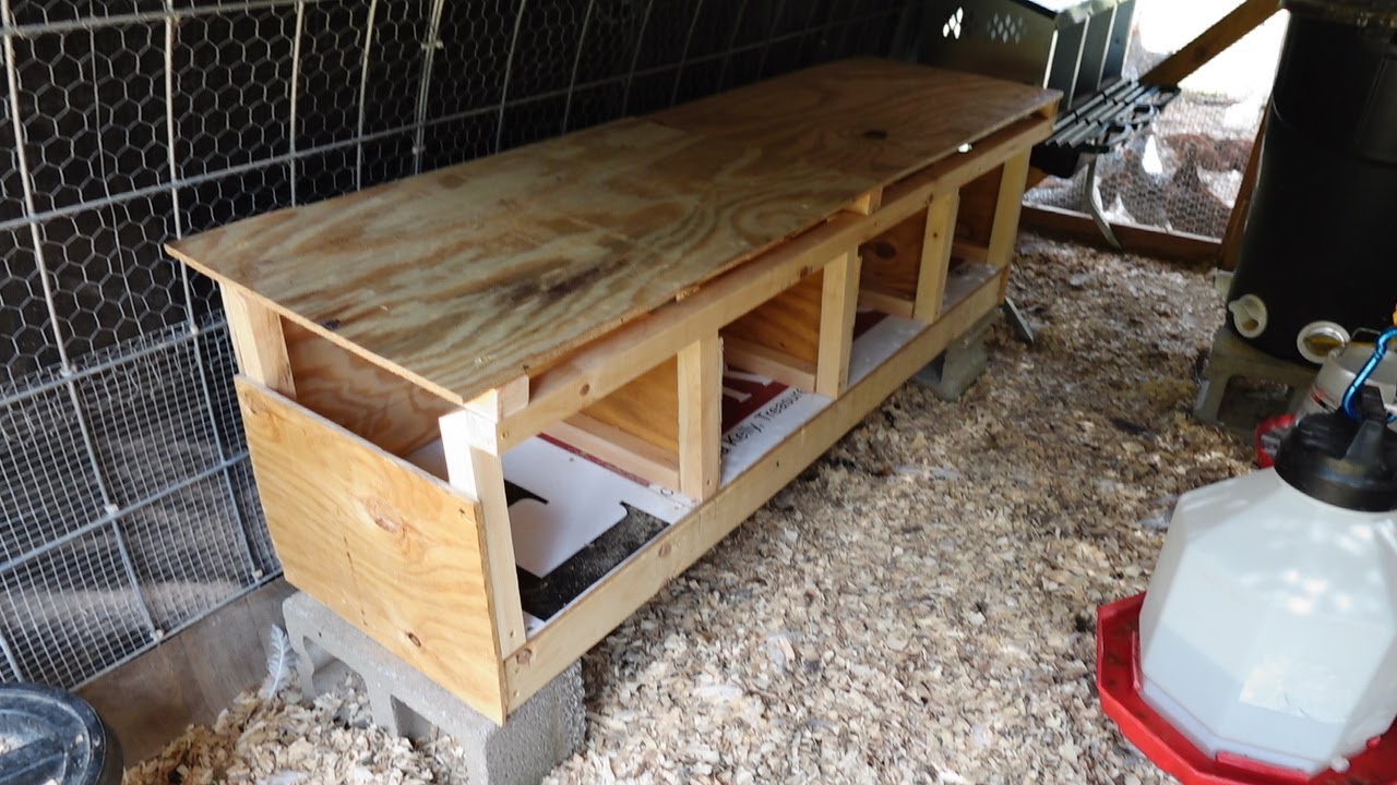 Building Chicken Nest Boxes for My Young Hens