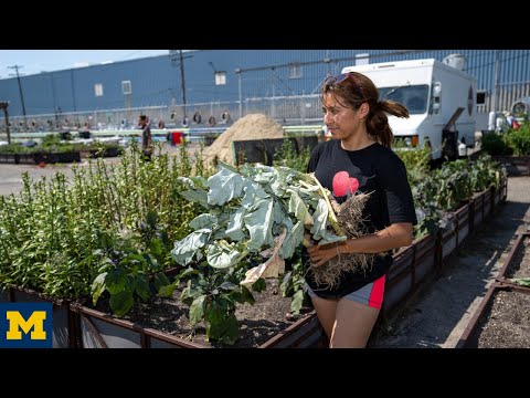 This Is Michigan | Growing Community Leaders