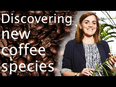 Using wild species to improve crop diversity - Prof Kathy Willis
