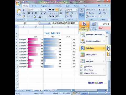 data bars
