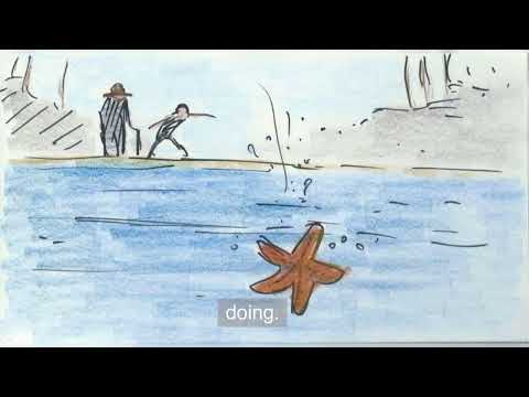 The Power of One : Making a Difference - Starfish story