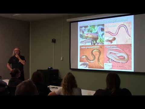 Evolution of snakes video on YouTube | Science and Technology | Before ...