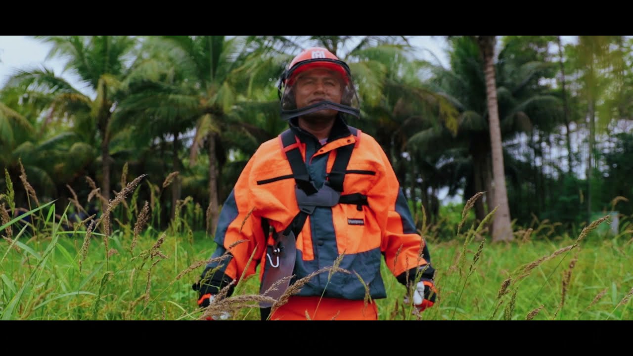 Desbrozadora Husqvarna 143RII | Probosque