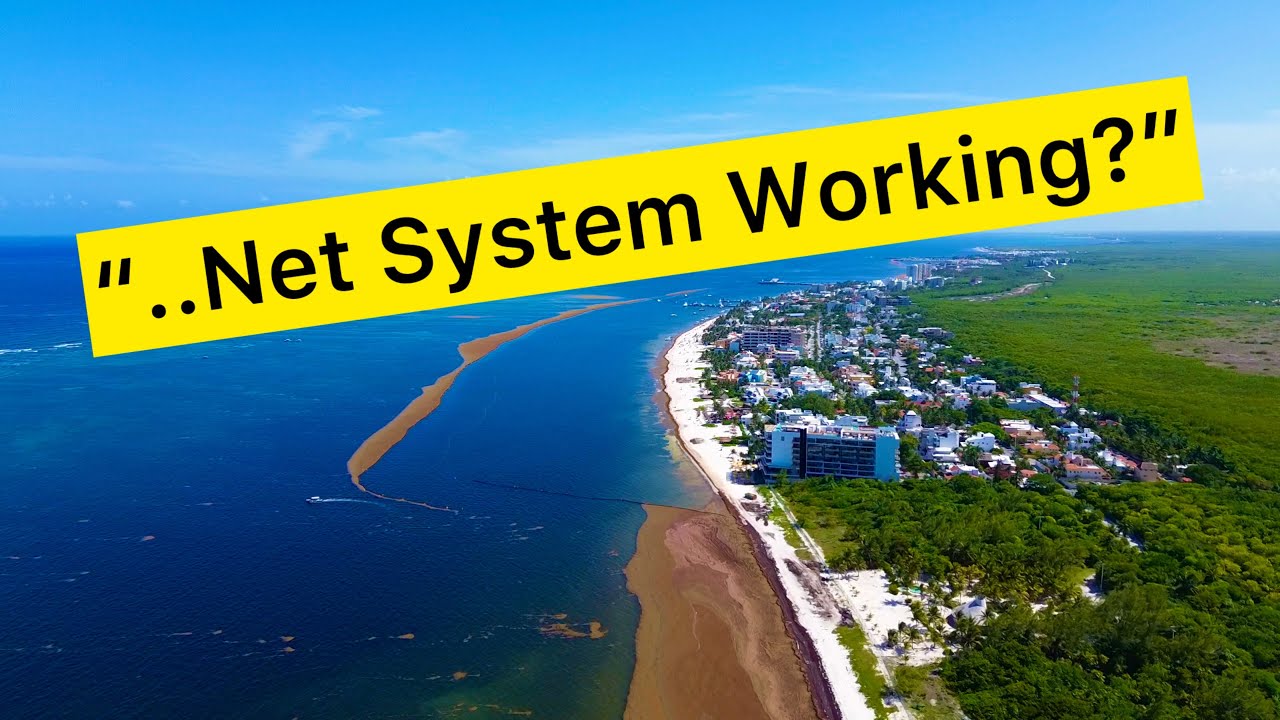 What’s Happening in Puerto Morelos?