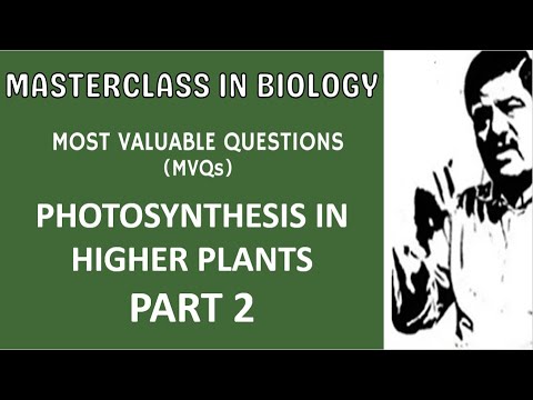 Part 2 - MVQ Video- Photosynthesis in Higher Plants for NEET 2021 - Quick Revision with Dr. Sharma