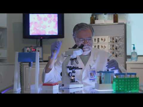 Antibody-Drug Conjugate (ADC) Development - What are Antibody-drug Conjugates (ADCs)?