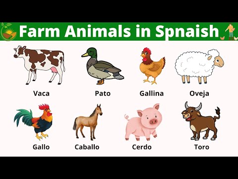 Farm Animals in Spanish | Spanish Vocabulary