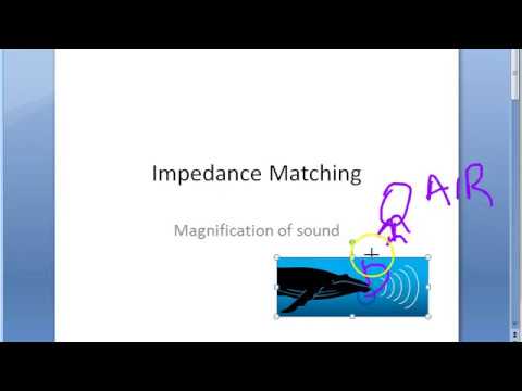 ENT 031 a Impedance matching Ear transformer ratio mechansim