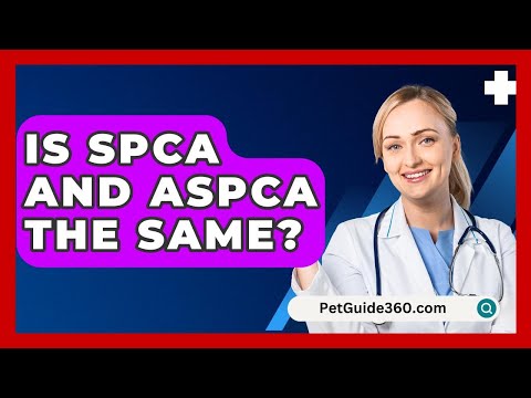 Is SPCA And ASPCA The Same? - PetGuide360.com