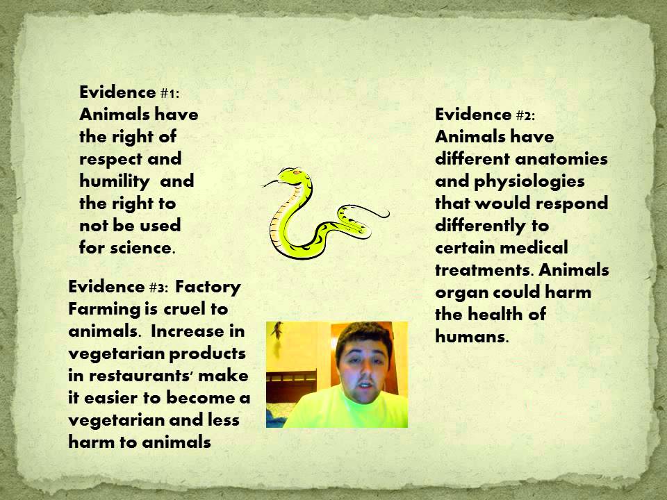 English PowerPoint Argument Essay