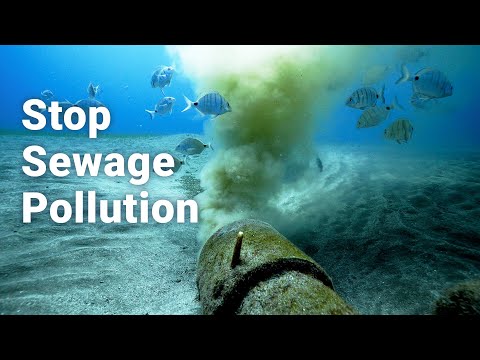 Stop Sewage Pollution