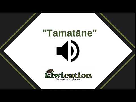 How to Correctly Pronounce 'Tamatāne' in Te Reo Māori'