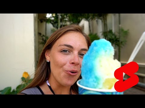 What $25 a day can BUY in Waikiki Hawaii 🌺