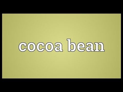 Cocoa bean Meaning