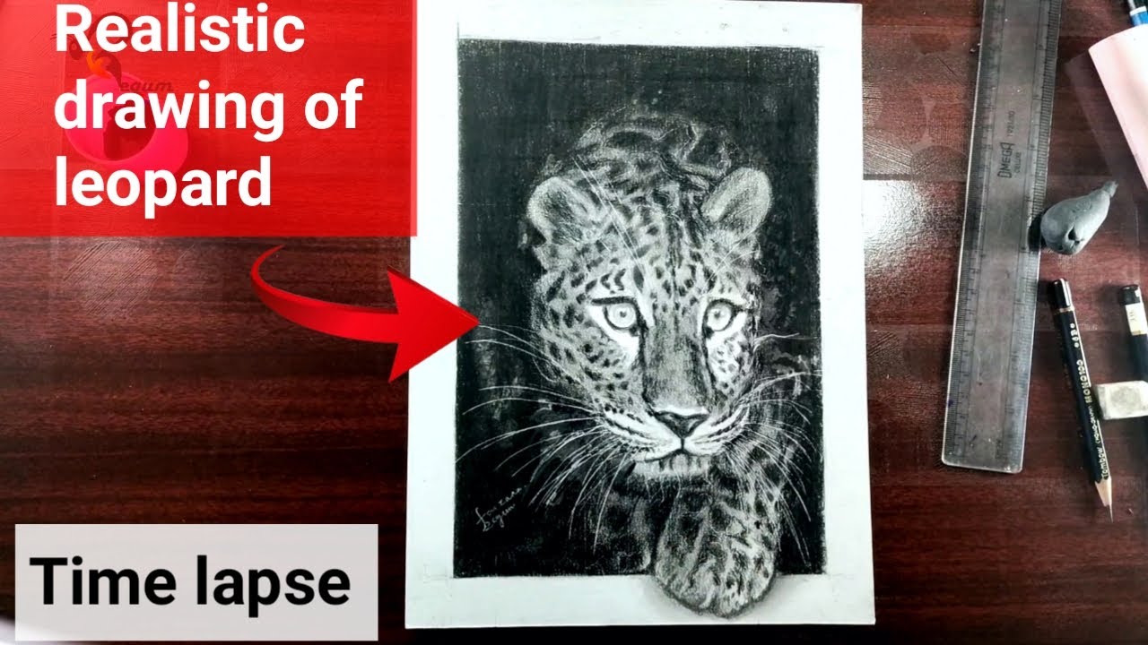 Realistic Leopard Drawing /  Time-lapse / realistic drawing