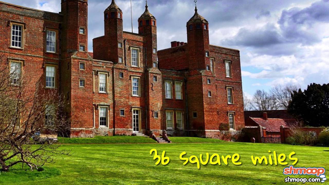 Perimeter of a Rectangle (Problem)