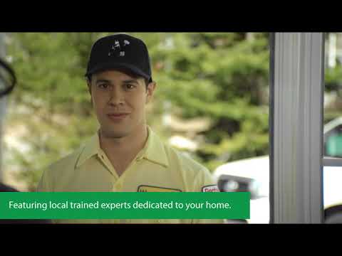 pestfree365 - Western Exterminator