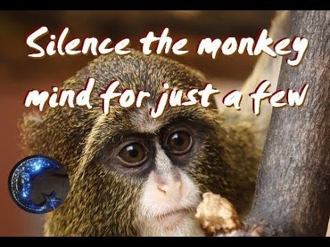Silence The Monkey Mind