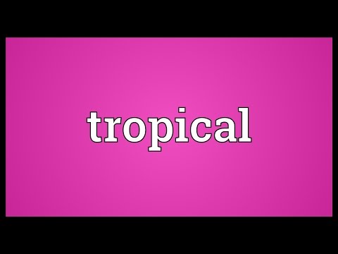 Tropical Meaning