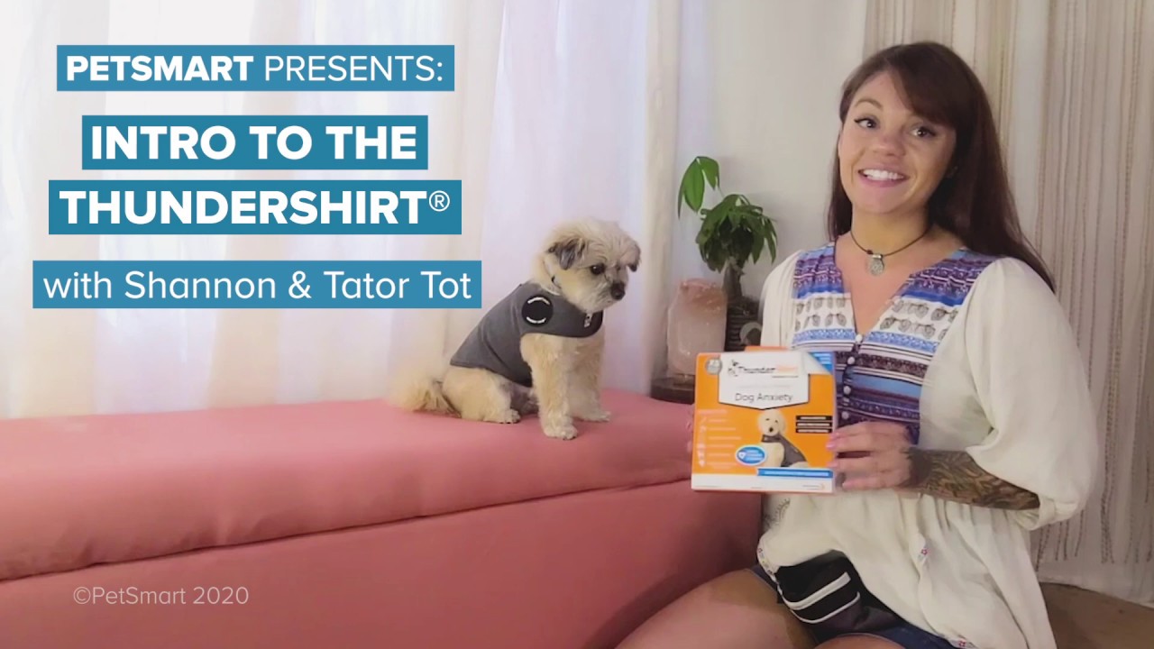 PetSmart Presents: Introducing your dog to the ThunderShirt® Anxiety Wrap