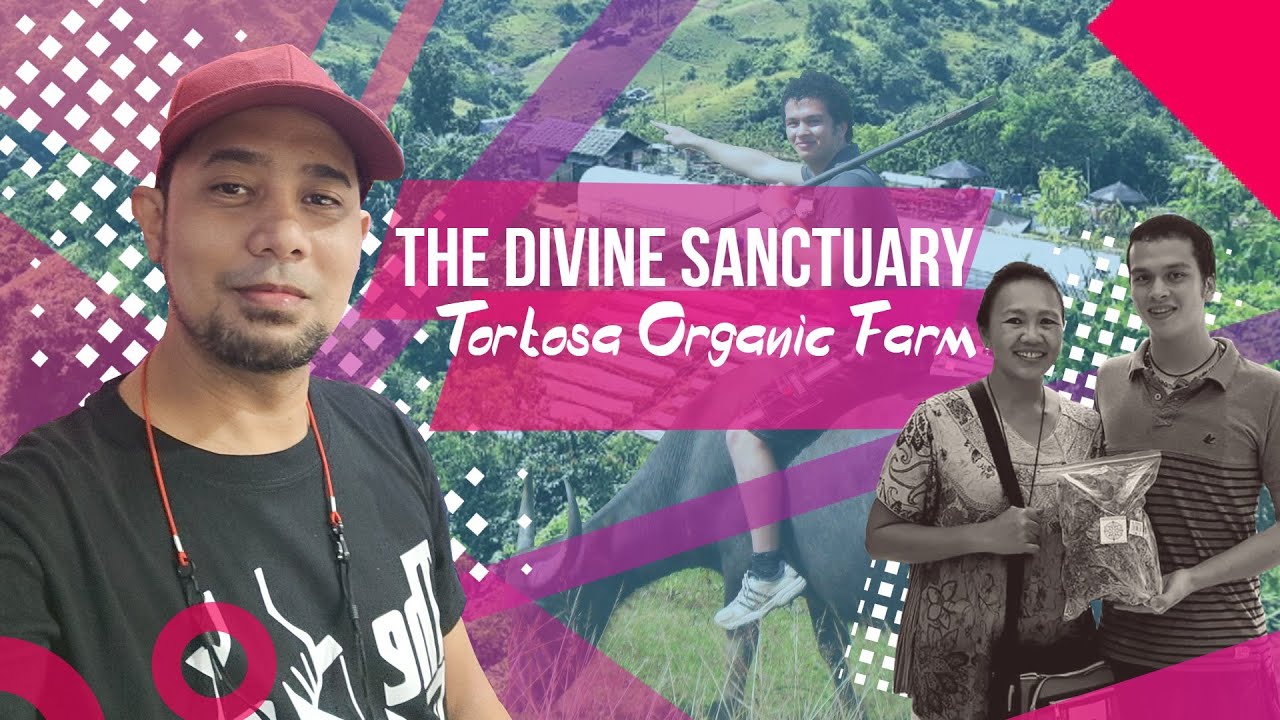 The Divine Sanctuary (Tortosa Organic Farm Documentary)