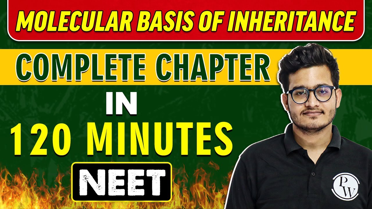 Understanding the Molecular Basis of Inheritance: A Comprehensive Guide | Galaxy.ai