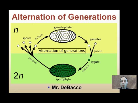 Alternation of Generations