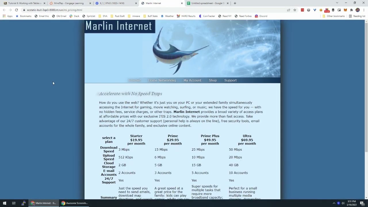 T6 Case Problem 1: Marlin Internet MindTap Solution