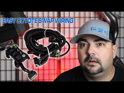 Coyote Swap Body Harness for Coyote and GT500 engines PCP-1116