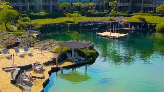 Top 4 Coolest Hotel Pools Across America