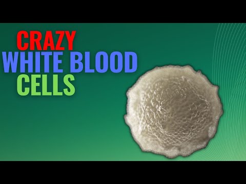 The Secret Warriors: Understanding White Blood Cells Counts