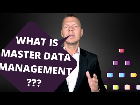 Master Data Management explained. All you need to know about master data management in five minutes!