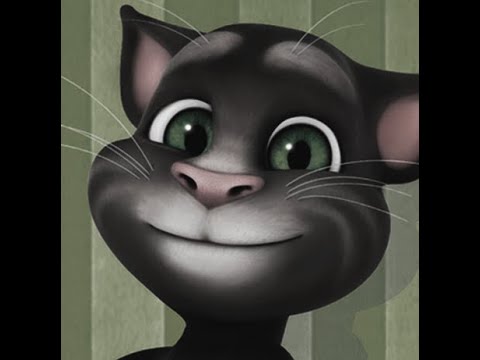 PUTTYTAT (+ FLP)
